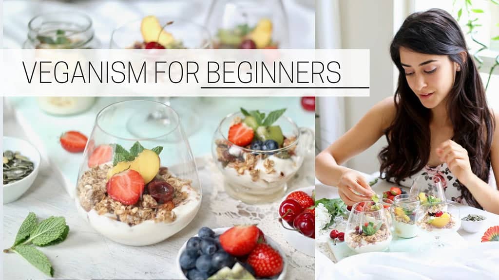 A Beginner's Guide To Veganism | Video for New Vegans